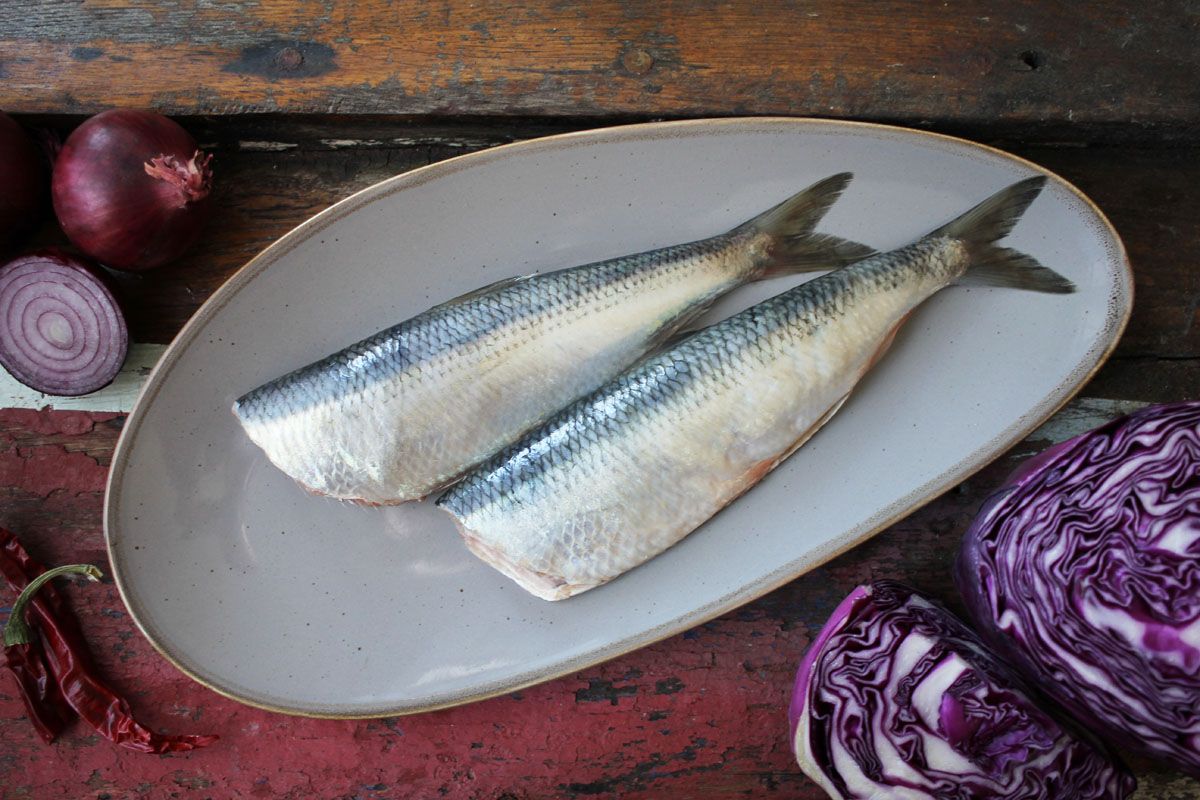 Heringe kaufen | Online bei send-a-fish