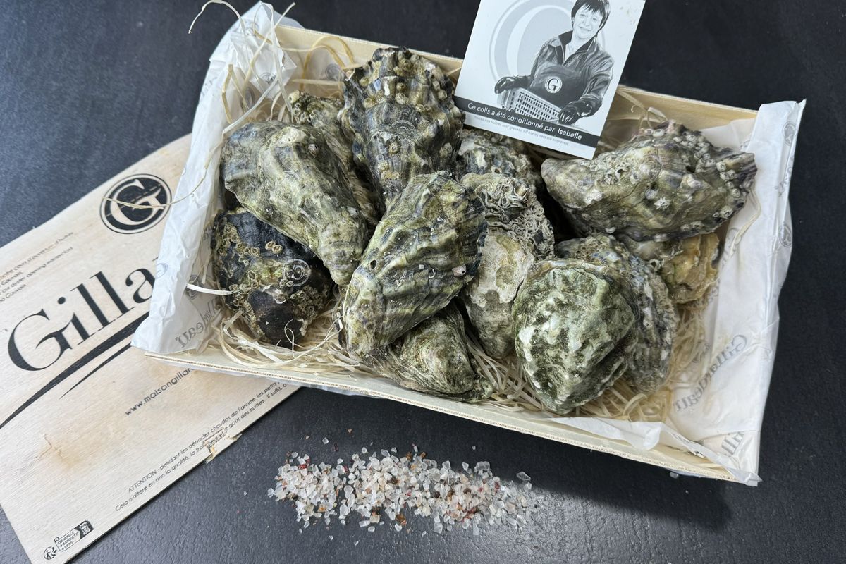Frische Gillardeau Austern - Spéciales de Claire online kaufen