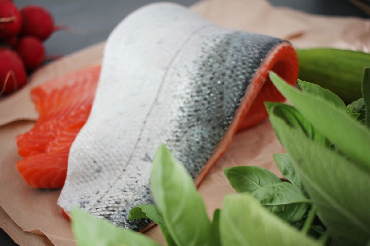 Frische Forellen kaufen