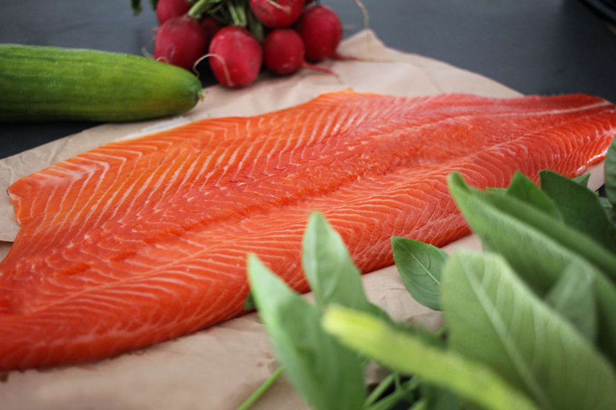 Frische Forellen kaufen