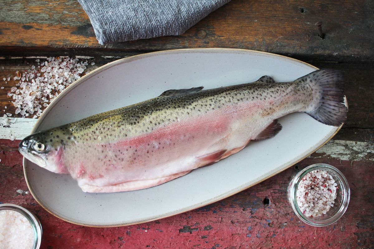Frische Forellen kaufen