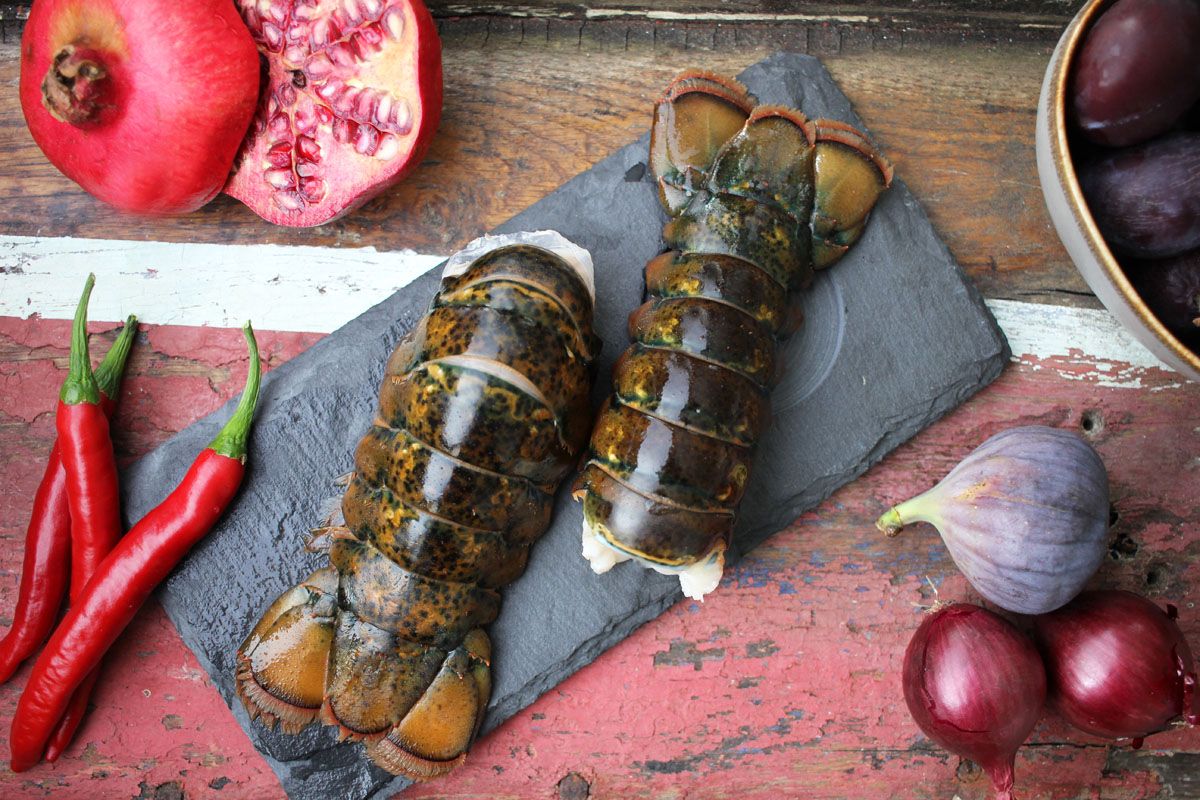 Steckbrief: Hummer – Antonia Hemmer: Steckbrief, News und Bilder – OMYS