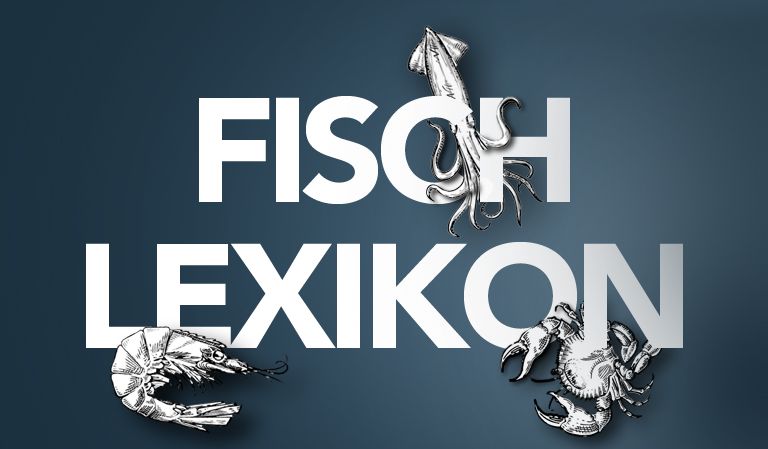 Fischlexikon