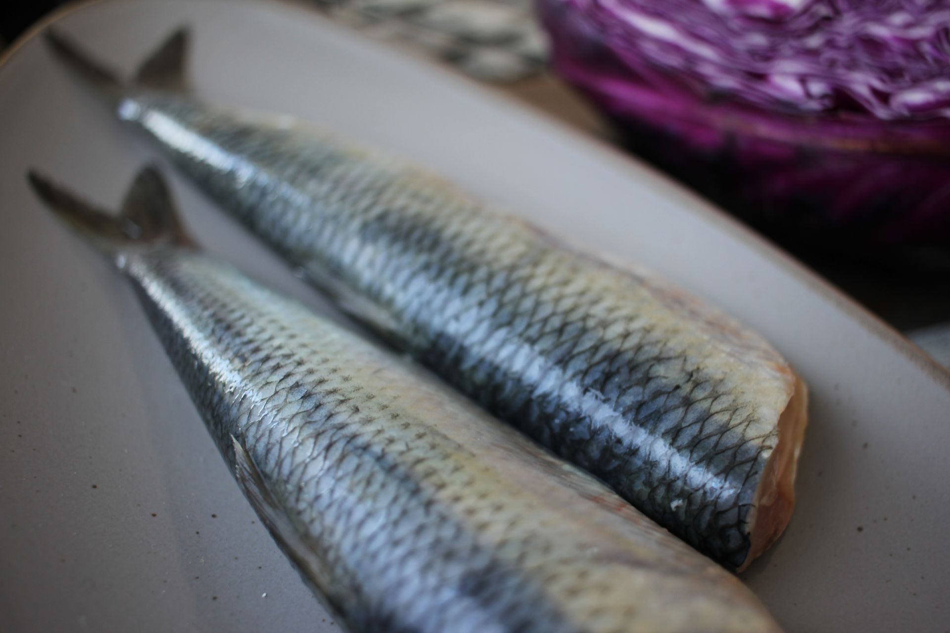 Heringe kaufen | Online bei send-a-fish